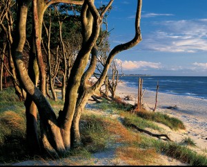 Darßer Weststrand